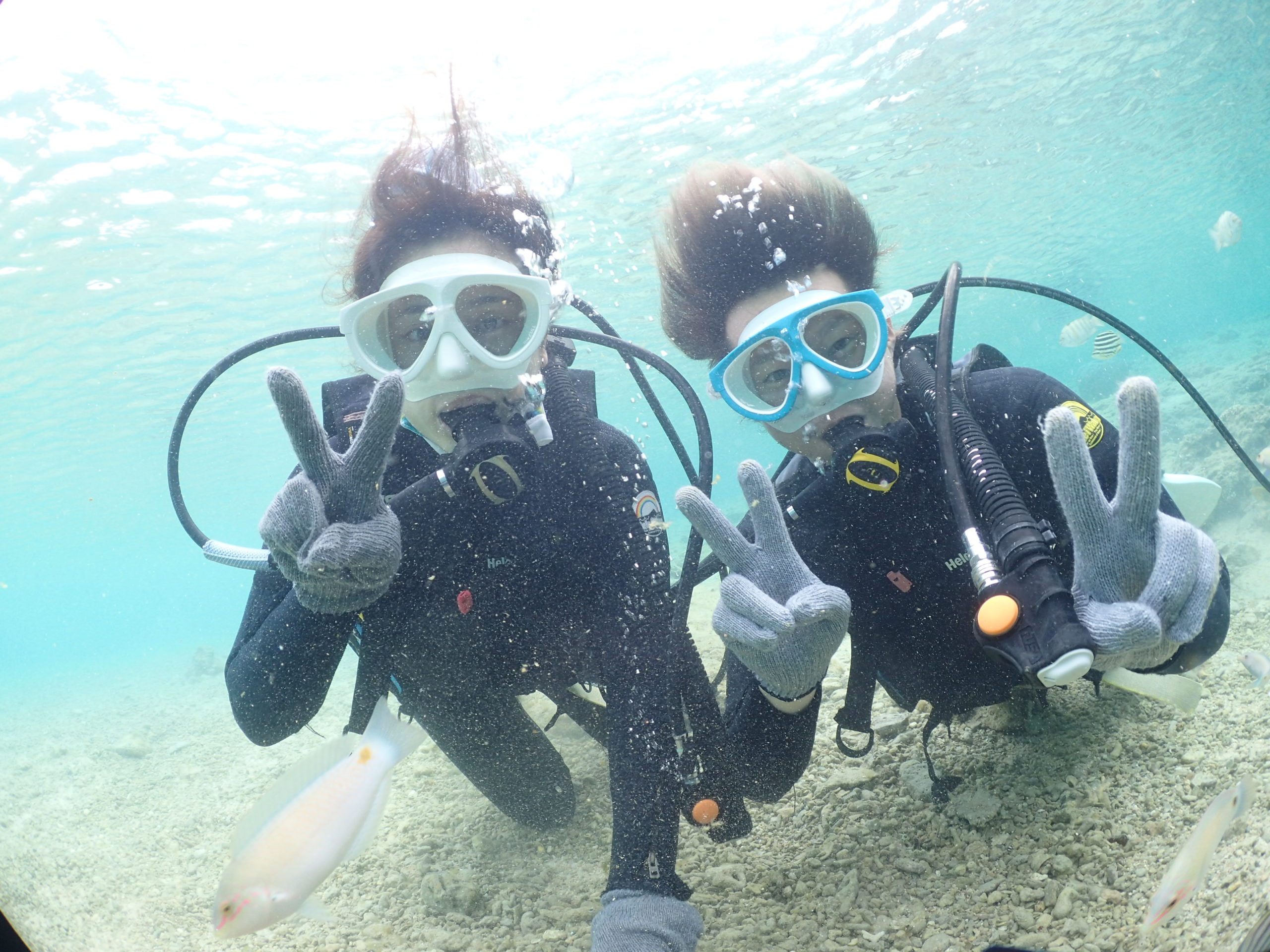 Happy Diving~♪🤿 | マナエンジョイダイビング